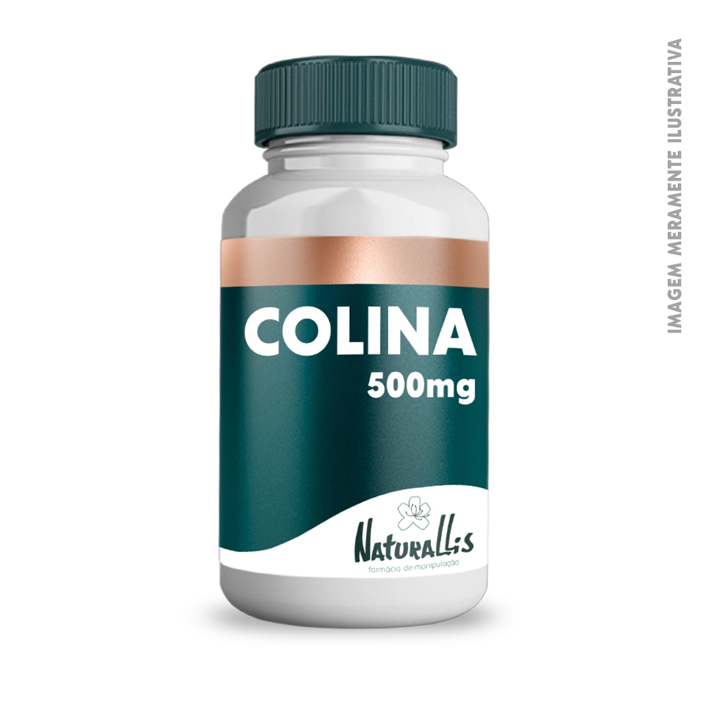 Colina 500mg - Saúde cerebral, memória e regulação da digestão - 60 ou ...