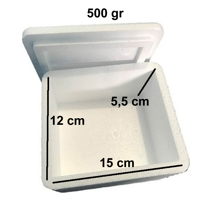 Caixinha De Isopor Medicamento 500gr, Caixa Térmica Isopor, Caixa ...