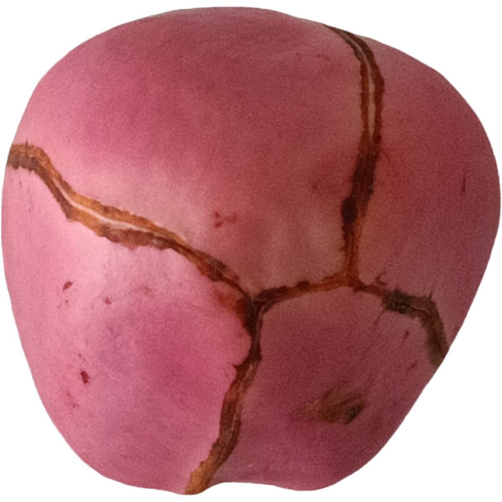 Umbanda Candomblé Obi Africano Vermelho 1 Unidade | Shopee Brasil