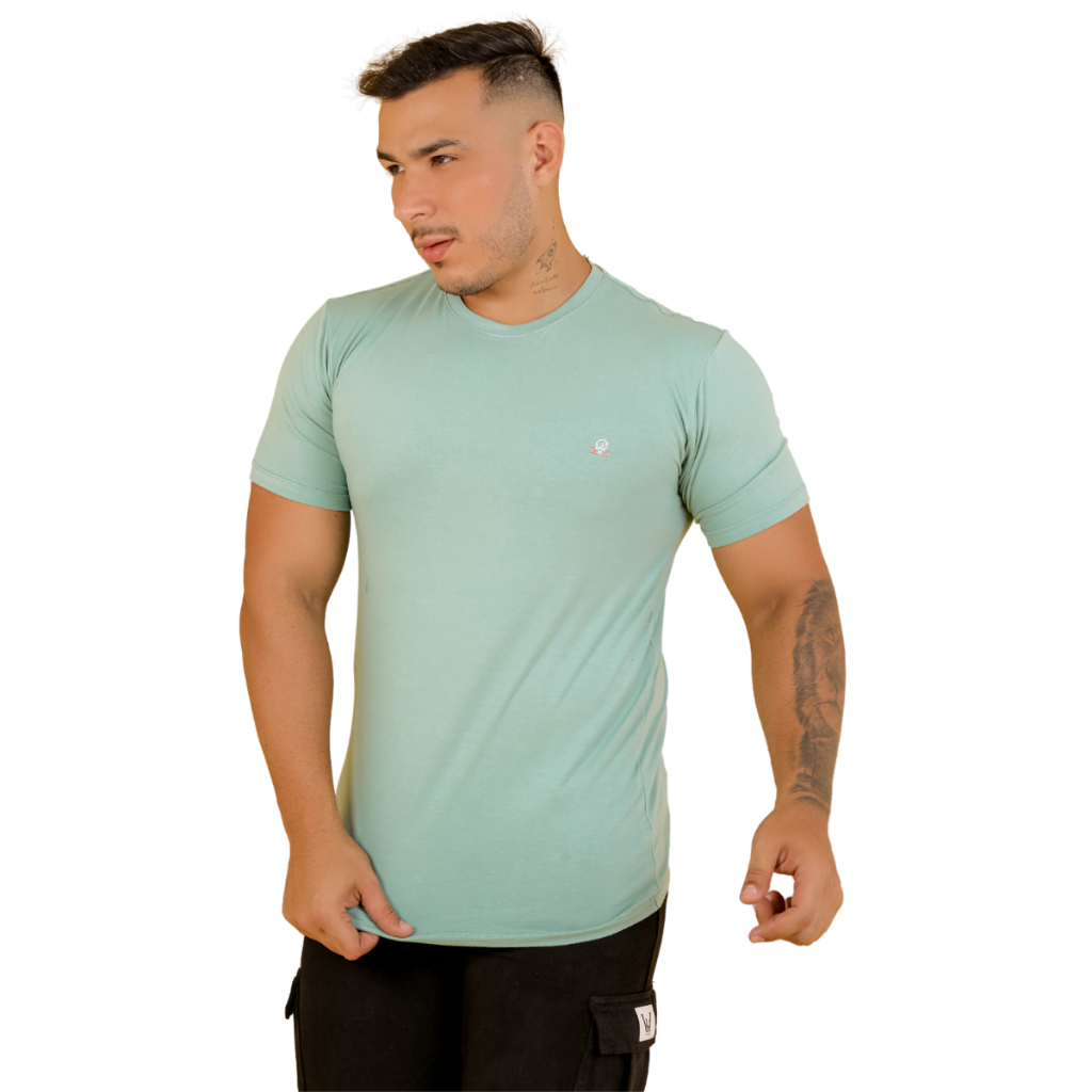 Camisa Básica Masculina Gola Lisa Verde | Shopee Brasil
