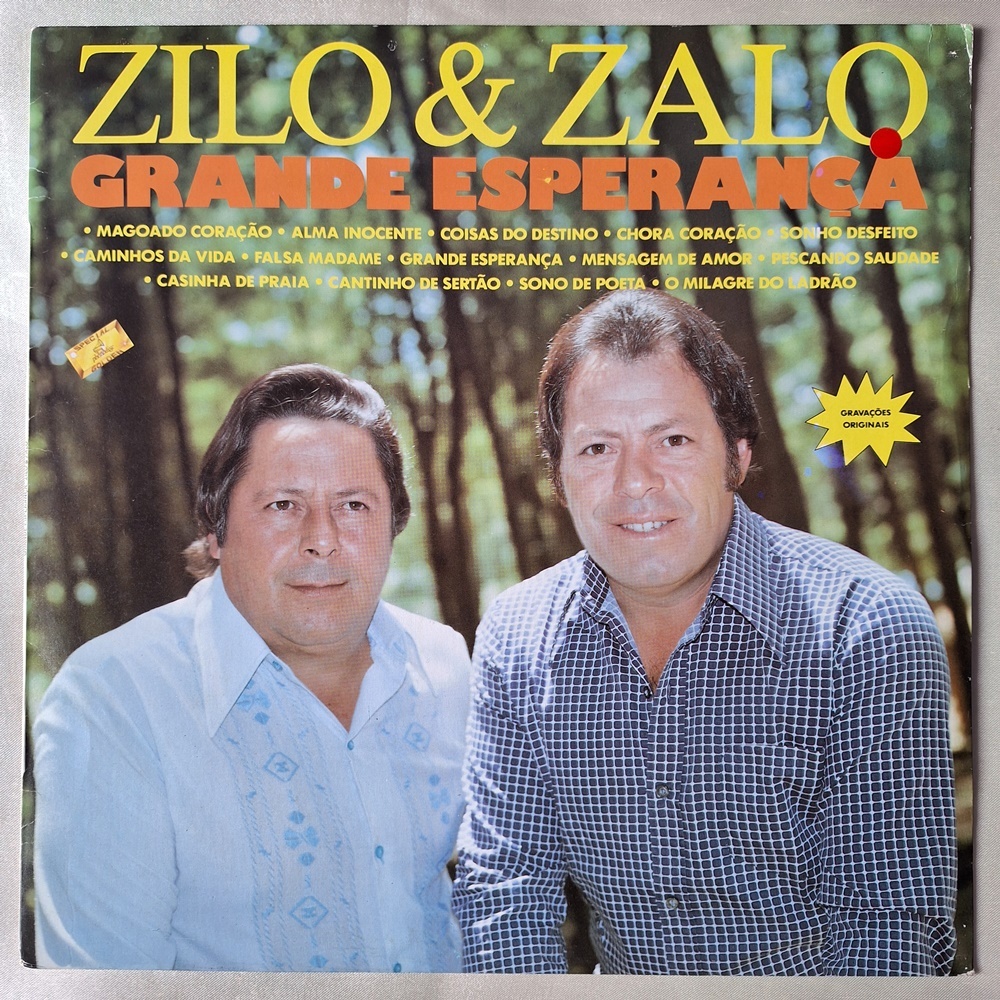 DISCO DE VINIL LP - ZILO & ZALO – GRANDE ESPERANÇA (1989) | Shopee Brasil