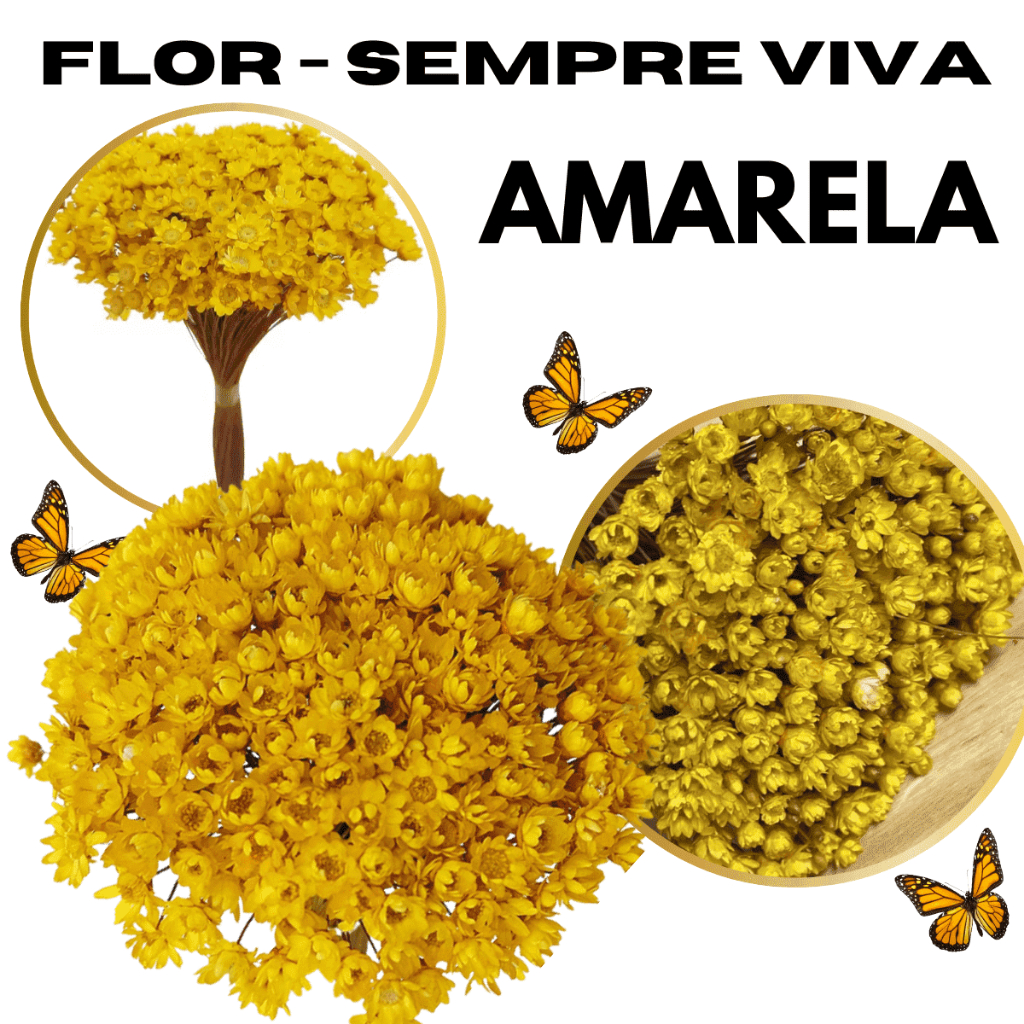 Kit 3.000 Florzinha Sempre Viva Natural Desidratada Decoração Festa ...