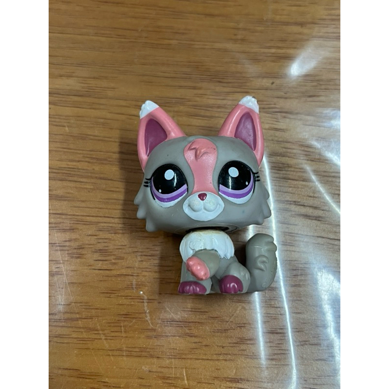 littlest pet shop wolfcat | Shopee Brasil