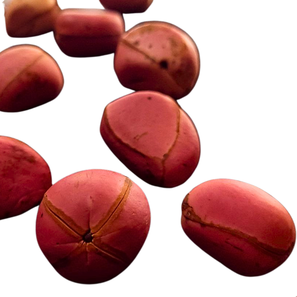 Kit C/10 Nóz de Cola Africana Obi Abatá 4 Gomos Vermelho - Candomblé ...