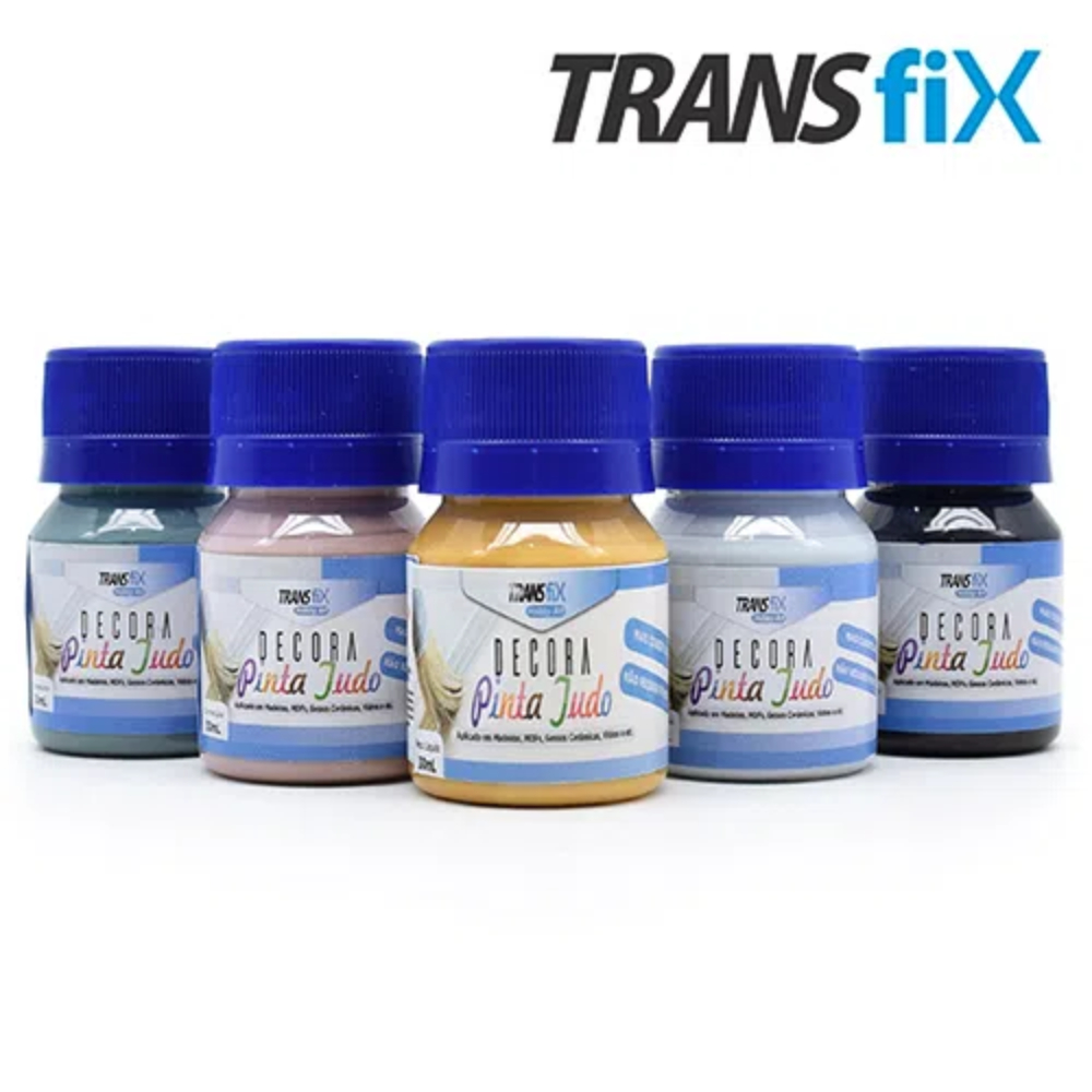 Tinta Decora Pinta Tudo Transfix 30g | Shopee Brasil