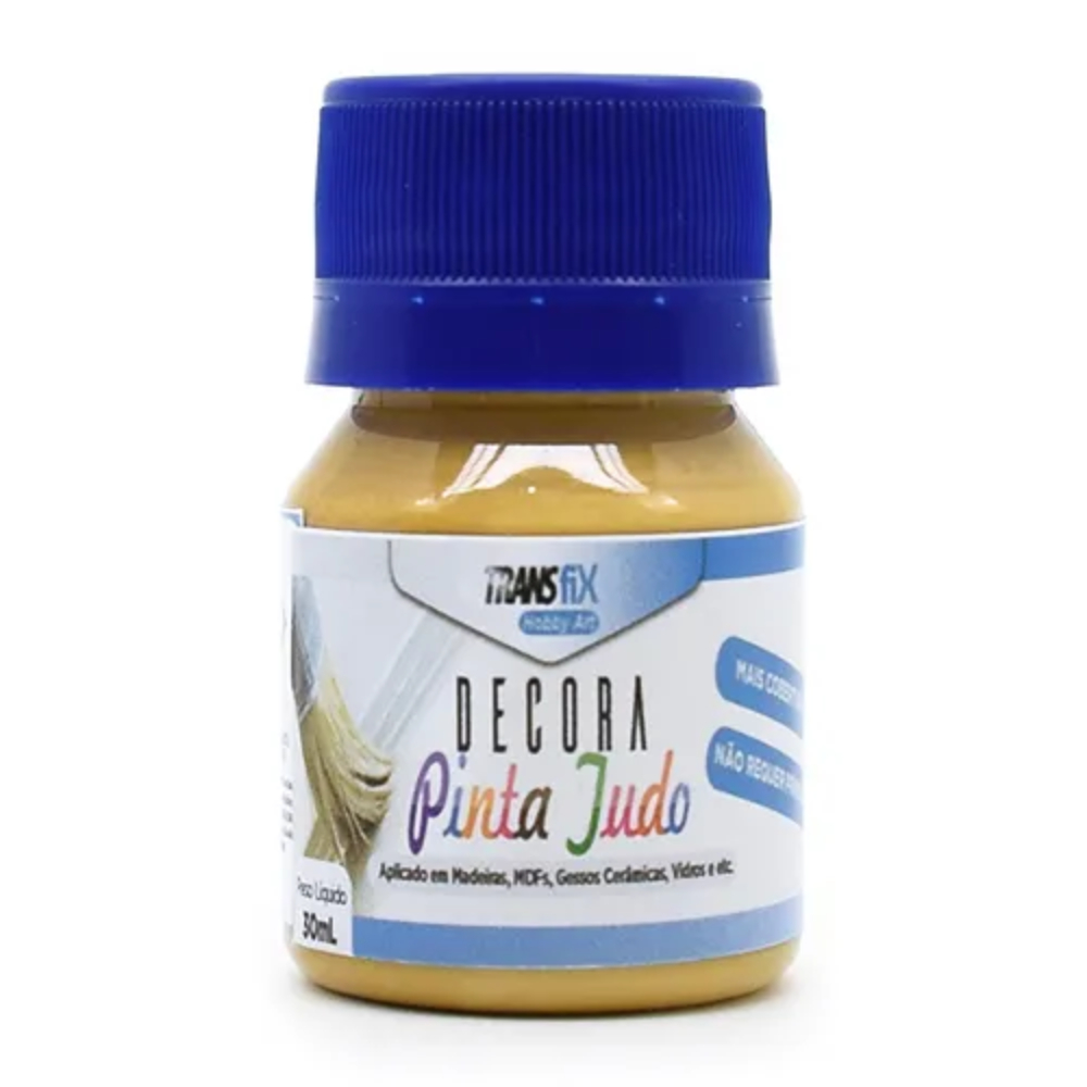 Tinta Decora Pinta Tudo Transfix 30g | Shopee Brasil