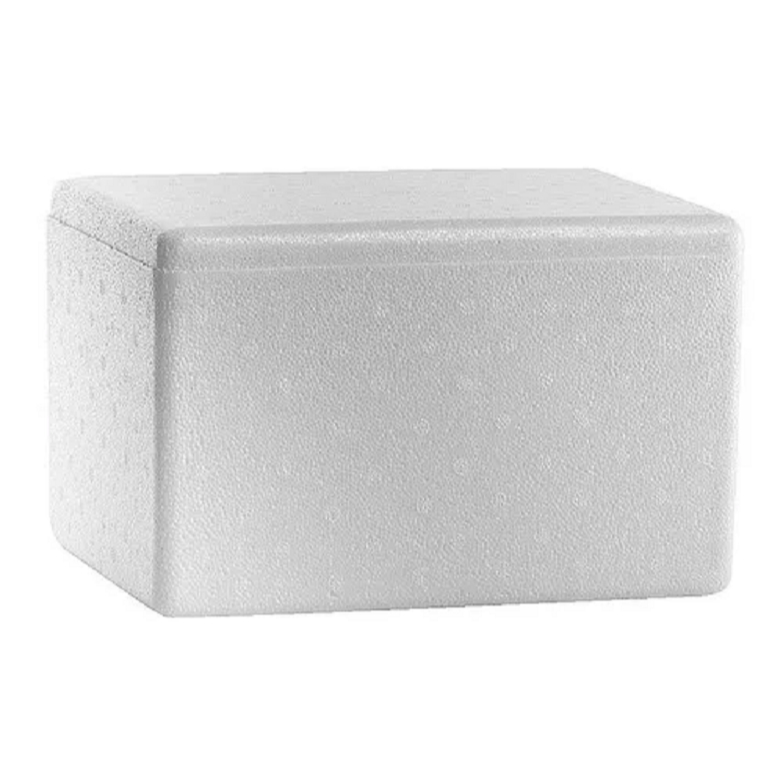 Caixa Térmica Isopor 5 Litros Cerveja, Refri, Medicamentos | Shopee Brasil