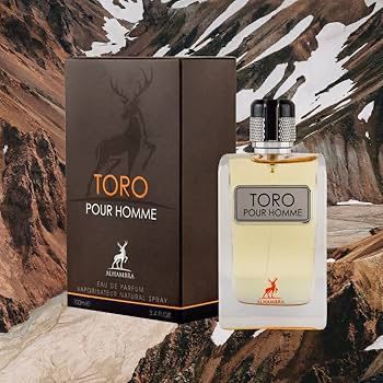 Perfume Toro Pour Homme Eau de PArfum 100ml - Original | Shopee Brasil