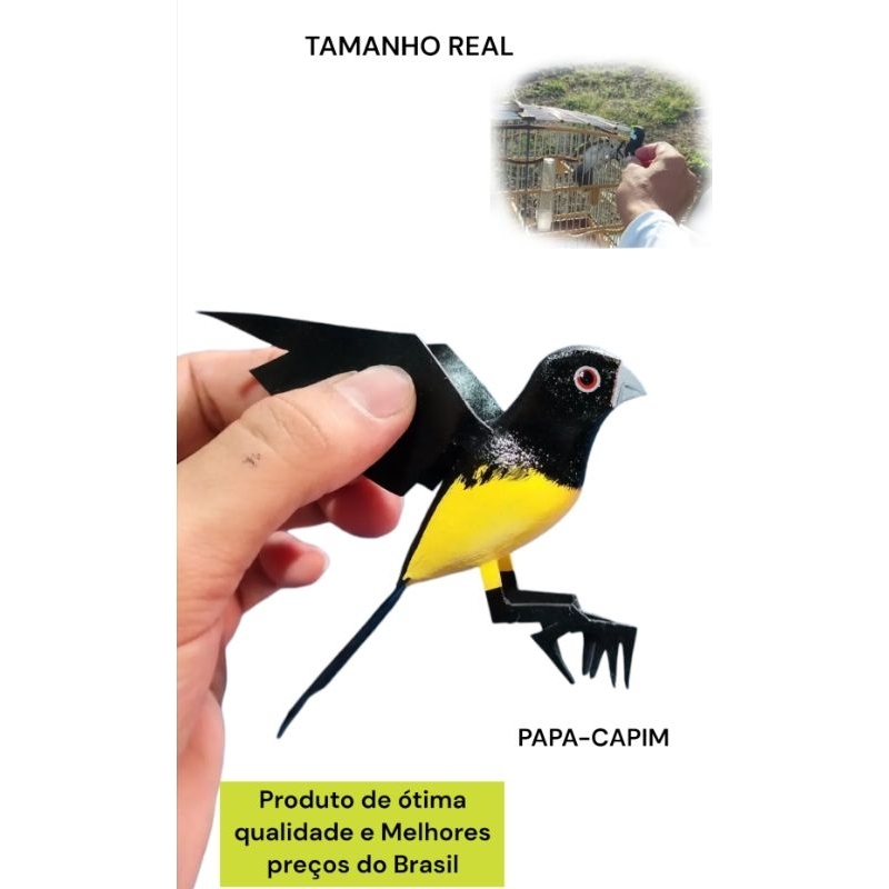 Boneco Chia de pássaro papa-capim, coleiro Baiano, papa-capim baiano de ...