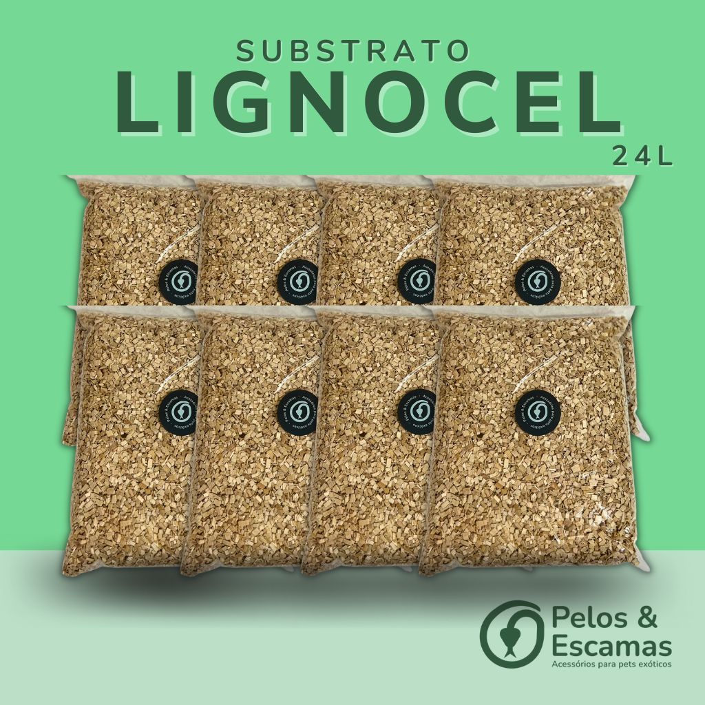 Substrato Lignocel 24l (4,8 Kg) Para Roedores E Répteis | Shopee Brasil