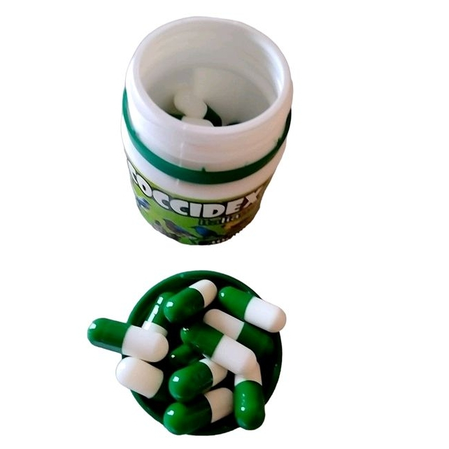 Coccidex Italiano 50 Capsulas Suplemento para Peito Seco, Salmonela ...