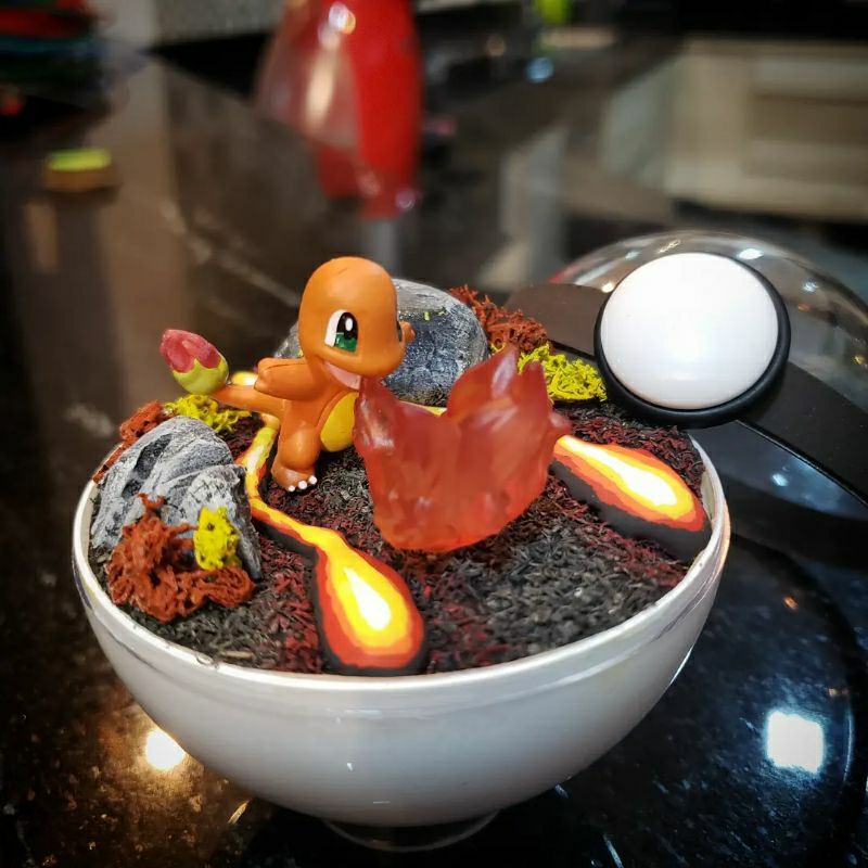 Paraíso Pokémon na Pokébola Charmander (Diorama) | Shopee Brasil