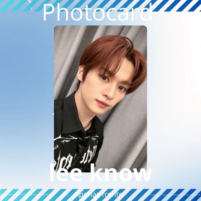 Photocard fanmade Lee know Stray kids | Shopee Brasil