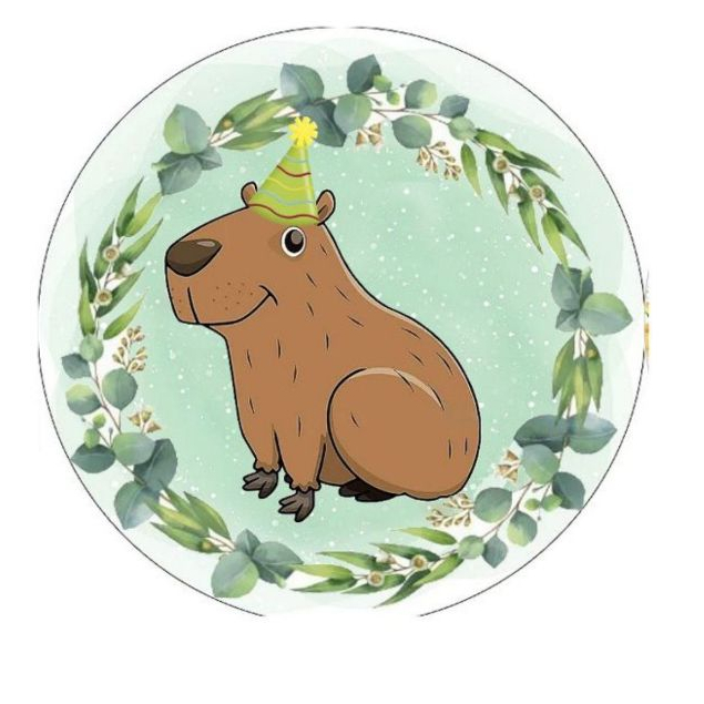 Painel de Festa de Mesa Sublimado 50x50 Tema: Capivara Painel de Festa ...