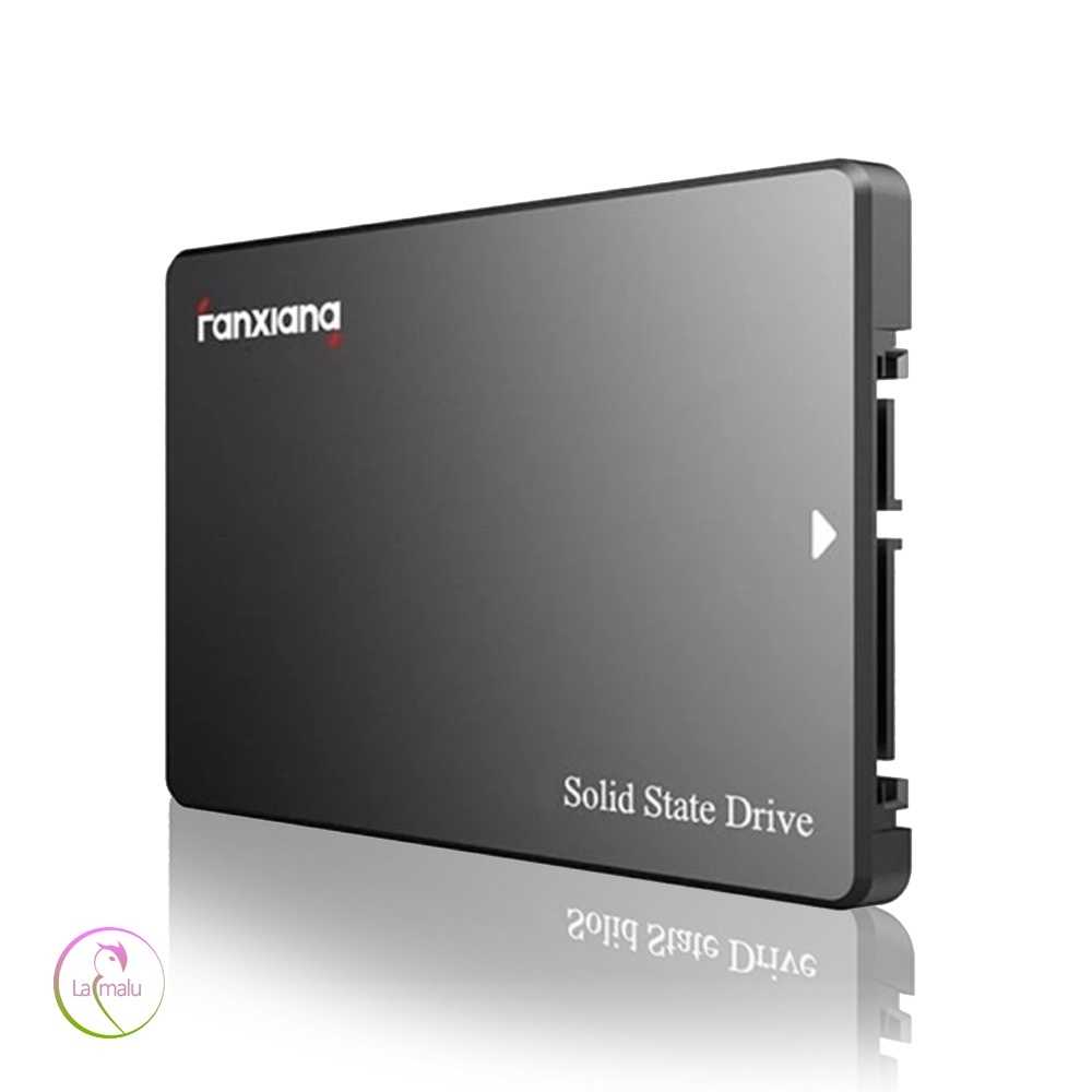 SSD SATA 512 GB GOLDENFIR E XRAYDISC! | Shopee Brasil