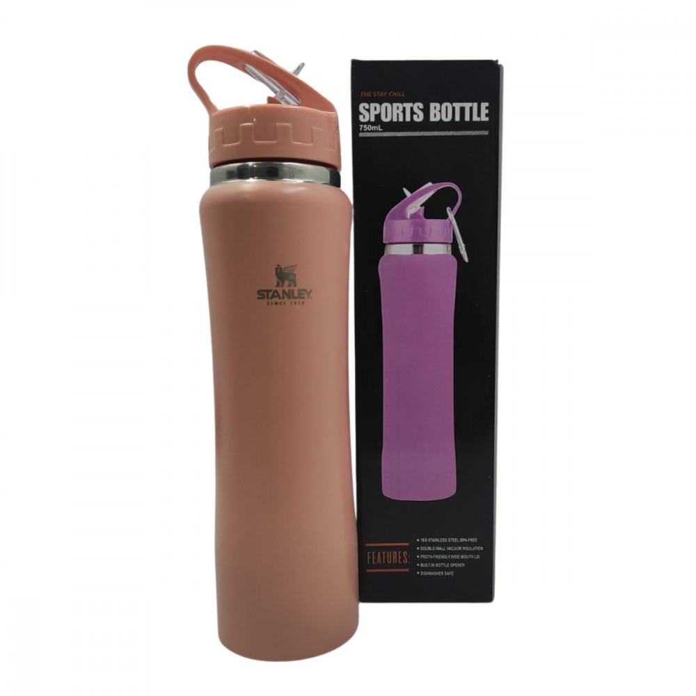 -- Garrafa Squeeze 750 ml Aço Inox Academia com Canudo Logo Stanley ...