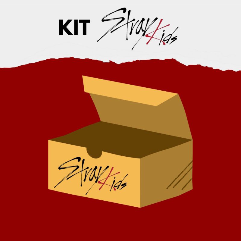 Kit'S Stray Kids | Shopee Brasil
