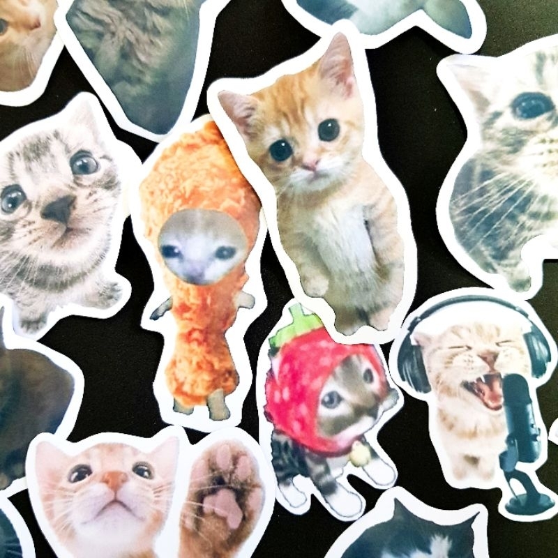Adesivos gatinhos meme kit 22 adesivos | Shopee Brasil