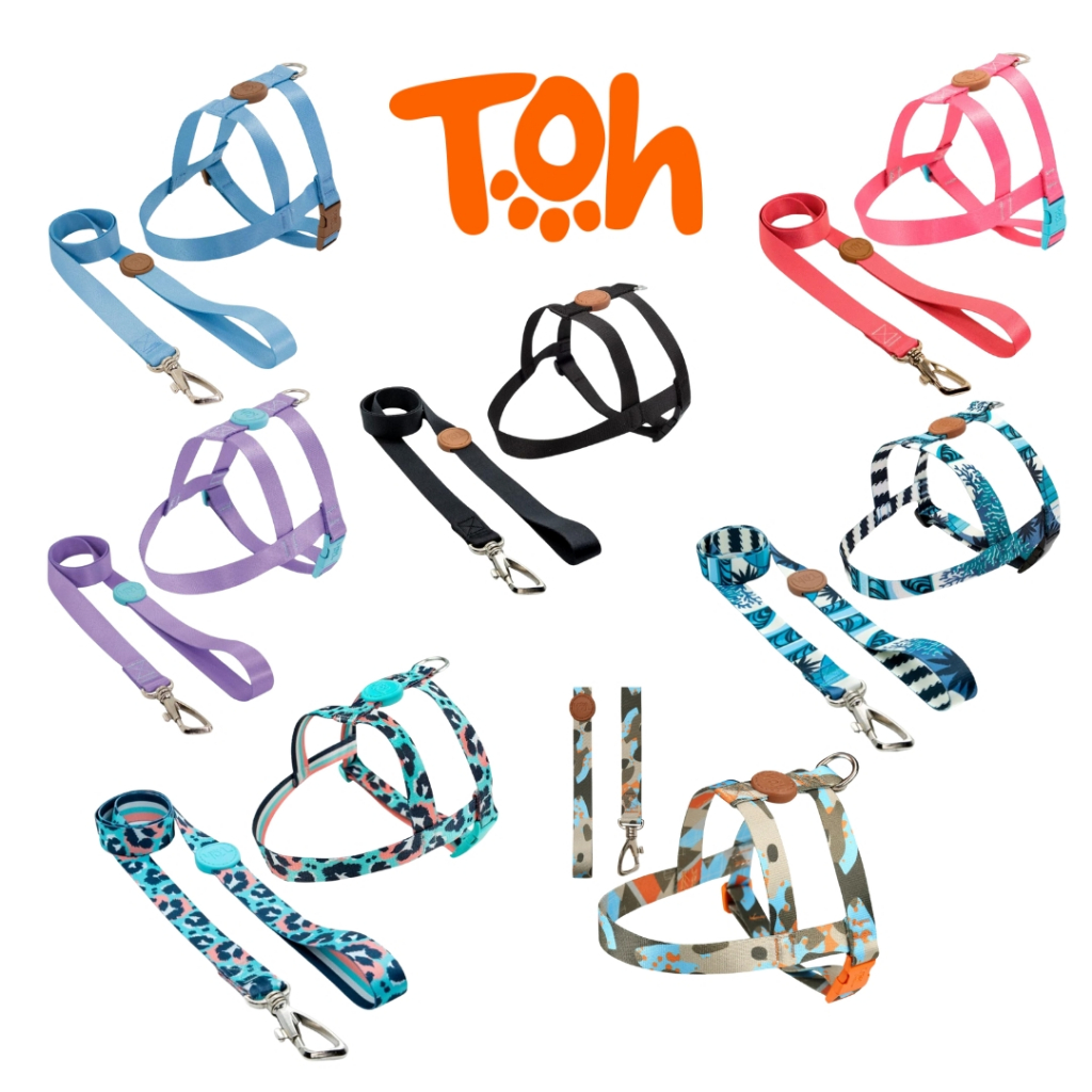 Conjunto Peitoral Tradicional + Guia GG - Toh | Shopee Brasil