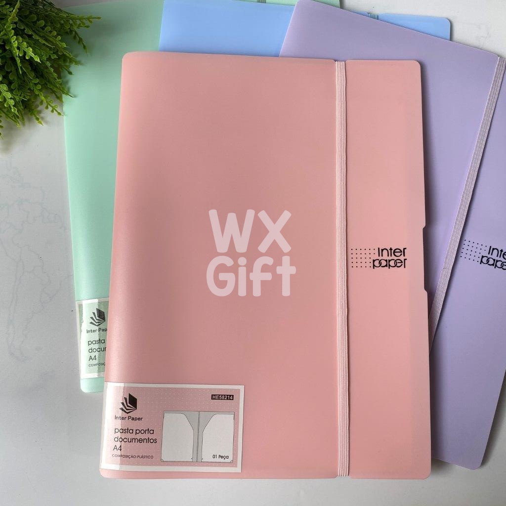 Pasta Porta Documentos A4 Unidade - Interponte / WX Gift | Shopee Brasil