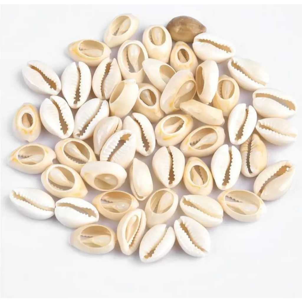 Buzios Natural Cortado Grande Pacote 500g | Shopee Brasil