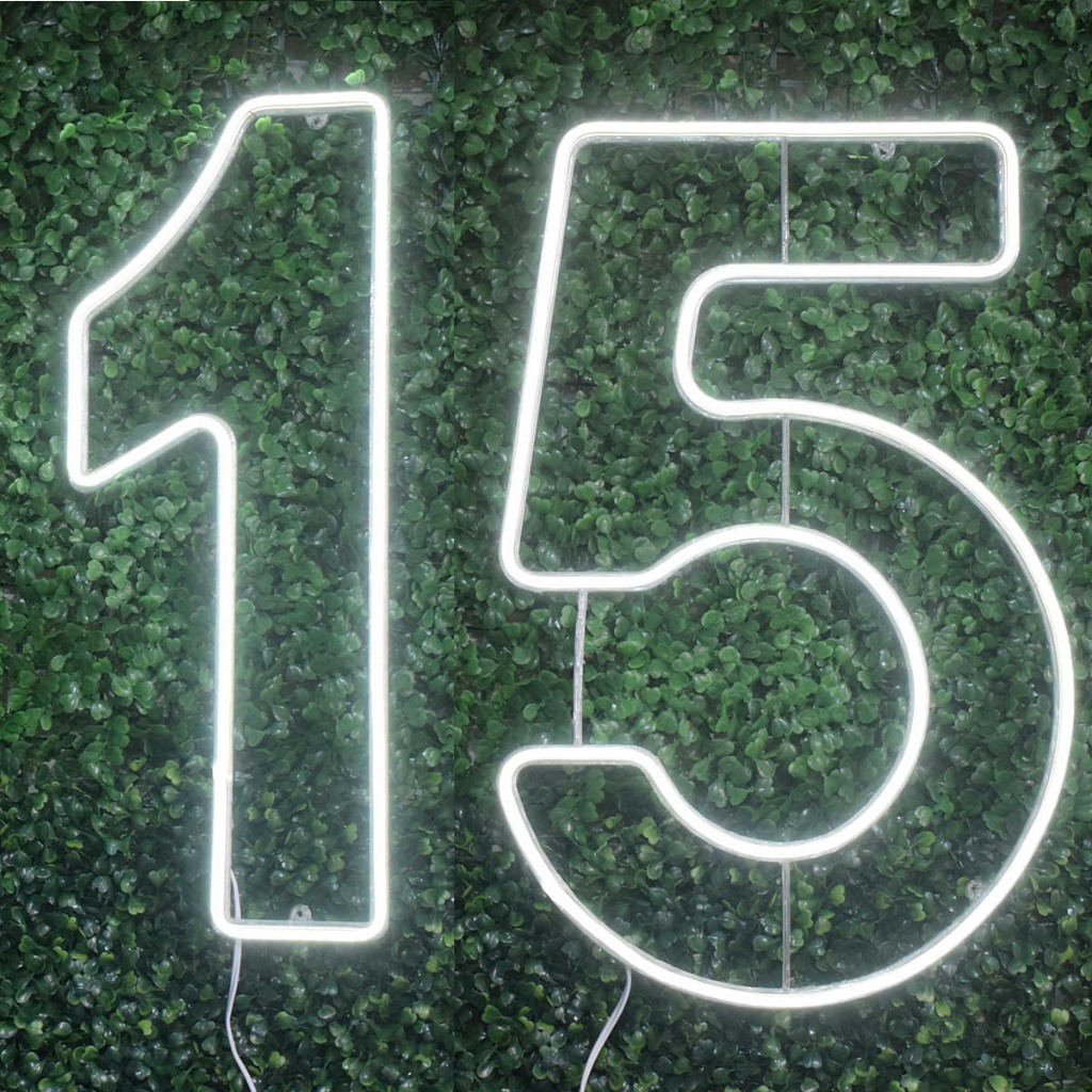 Luminária led neon - Kit Números 1 e 5 decoração 50cm altura ...