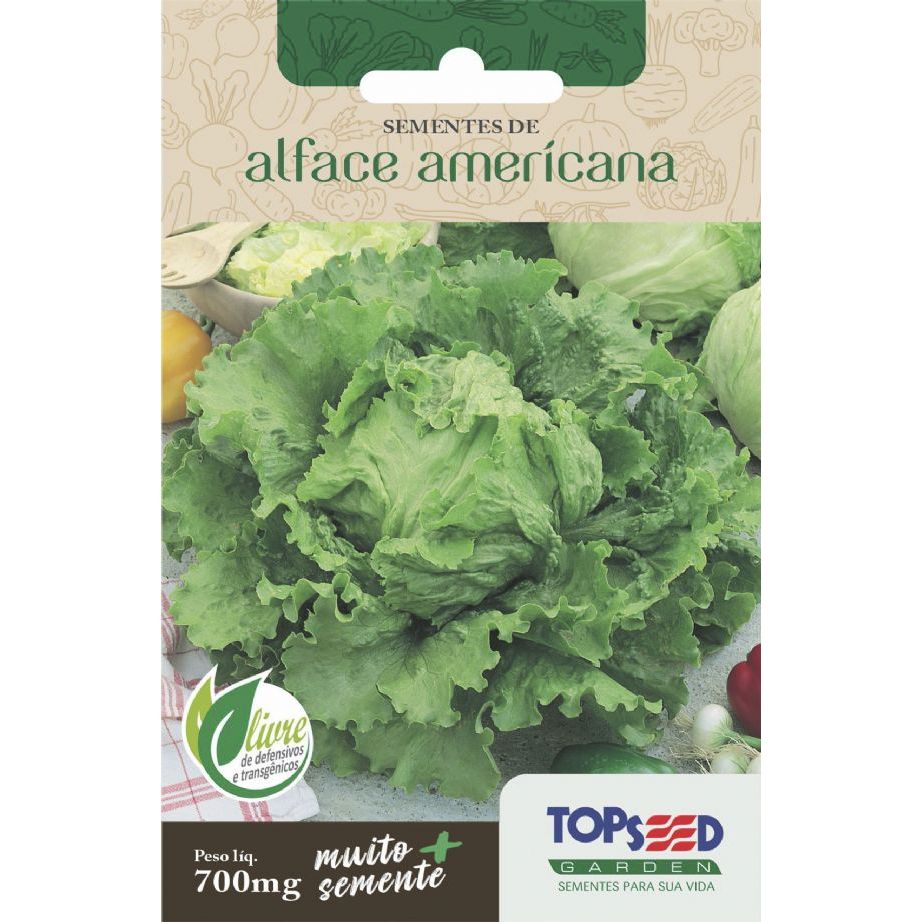 Kit 06 Sementes de Alface, 02 Alface Crespa,02 Alface Americana e 02 ...