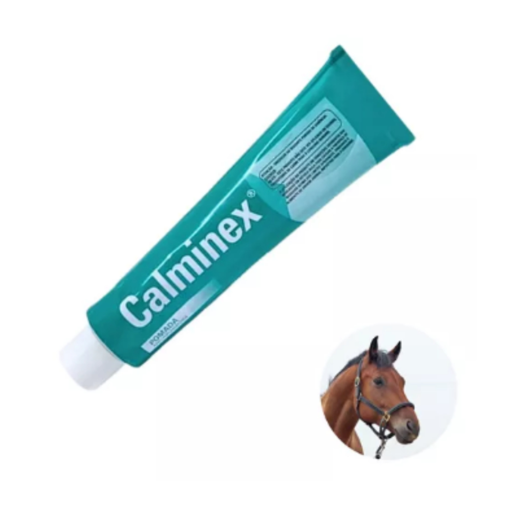 Calminex Pomada 100g Dores E Pancadas Anti Inflamatorio | Shopee Brasil