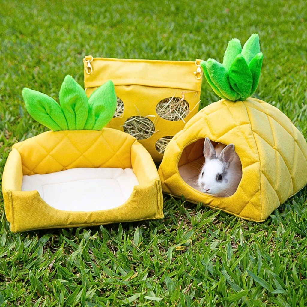 Kit p/ Porquinho da Índia - Abacaxi (Cama+Porta Feno +Toca) Guinea Pig ...