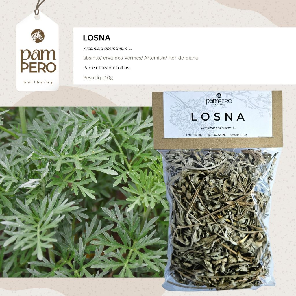 Folhas de losna desidratadas/ erva dos vermes - erva desidratada ...