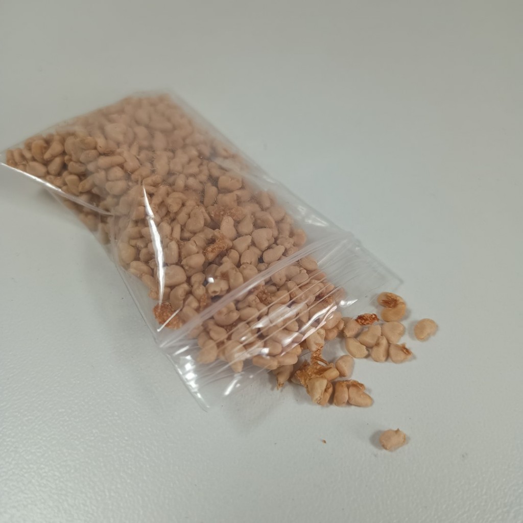 Sementes de Goiaba Vermelha - 300 Sementes - Cultive sua Própria Fruta ...