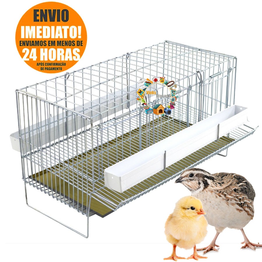 Gaiola COMPLETA Para Codorna Poedeira Aves Completa Chocadeira ...