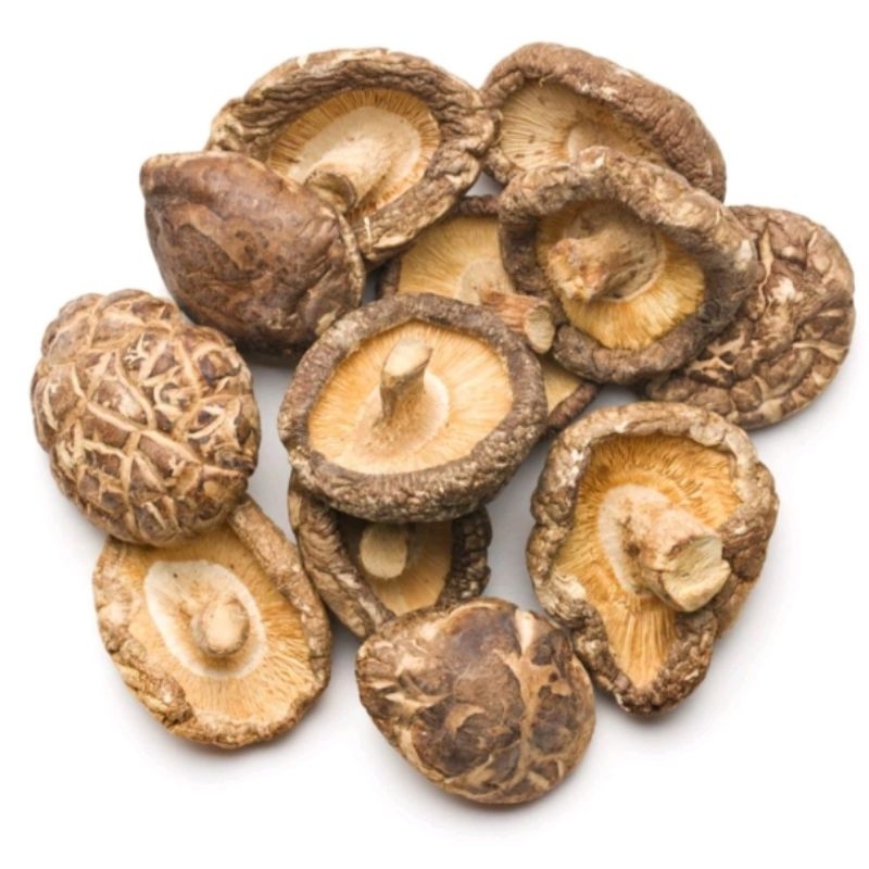 Cogumelo Shitake Desidratado 500g | Shopee Brasil
