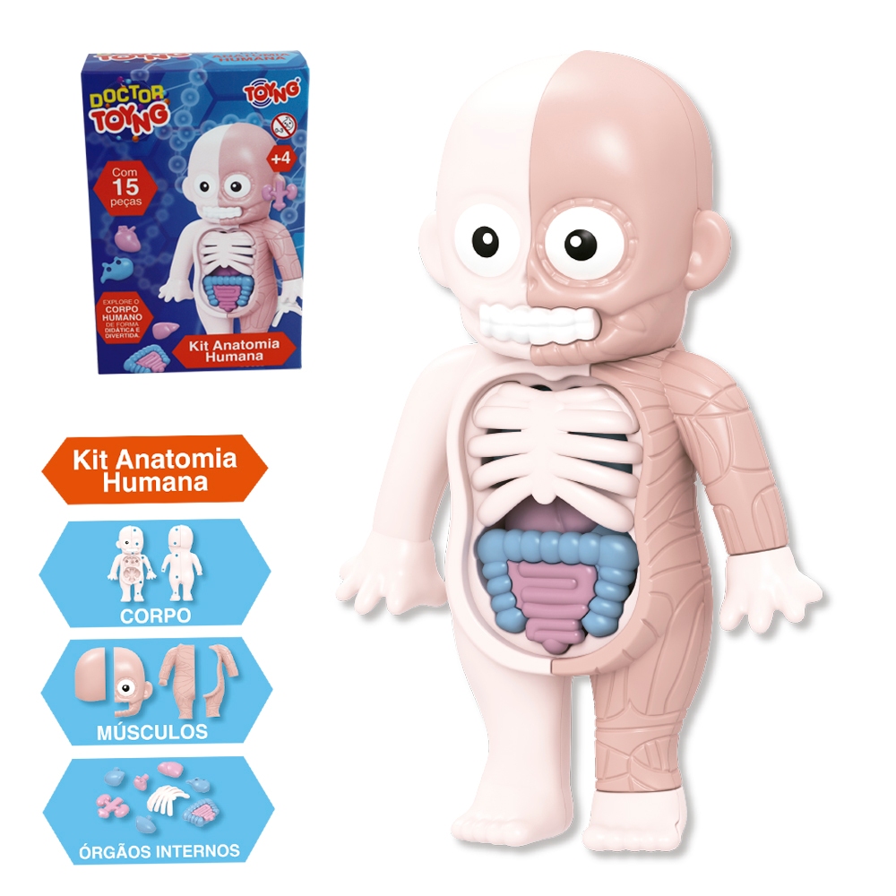 KIT ANATOMIA HUMANA COM BONECO DOCTOR 15 PECAS | Shopee Brasil
