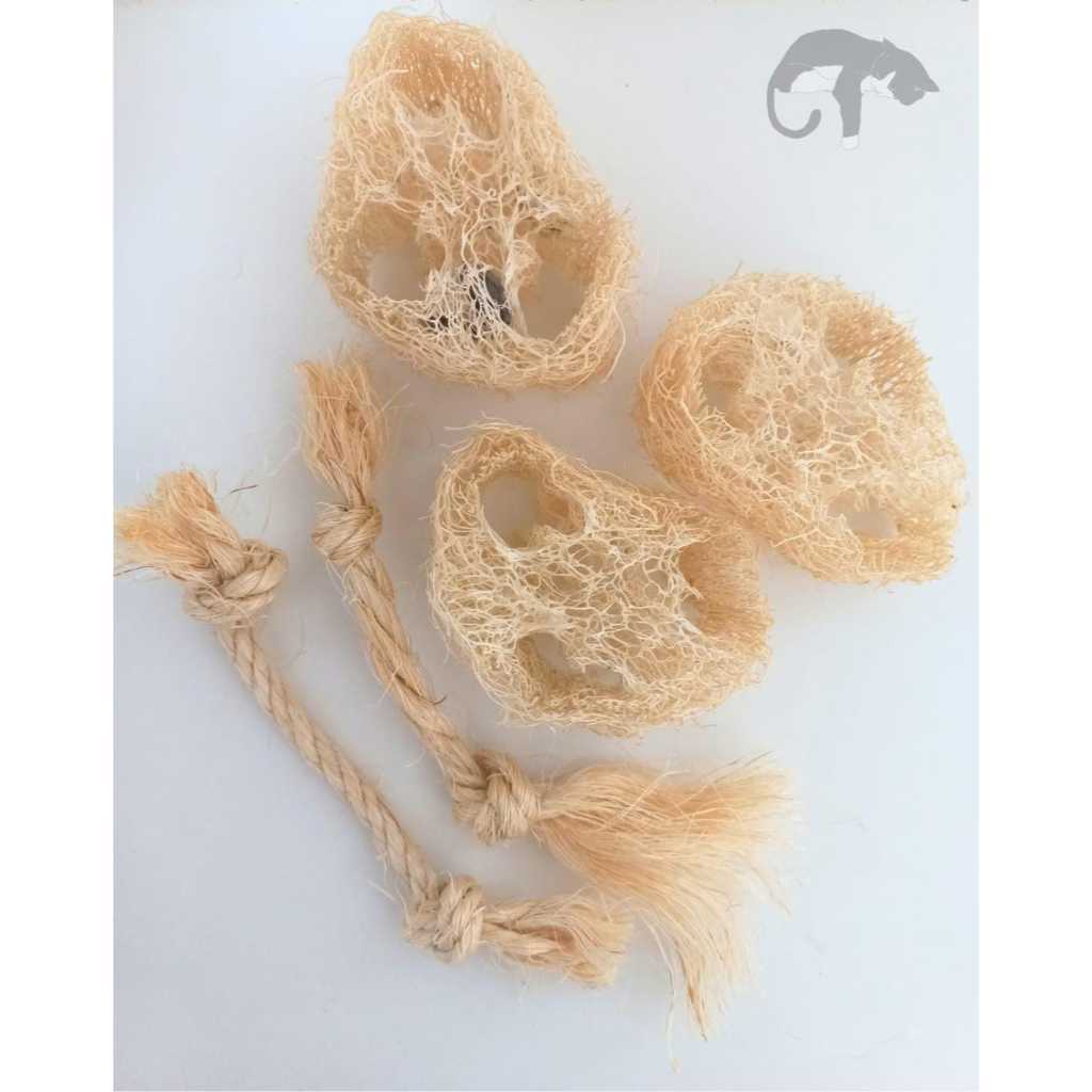 brinquedos 100% naturais para desgaste dos dentes de roedores kit 5 ...