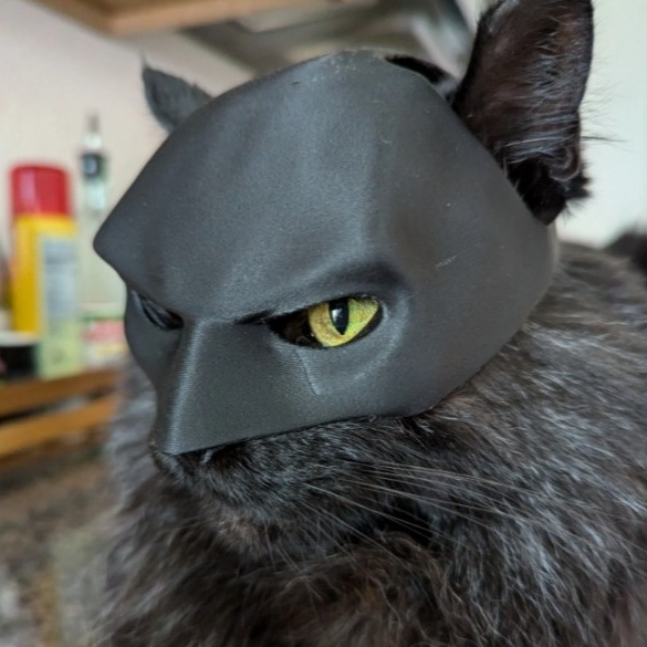 BatGato CatMask Máscara Batman para Gatos Acessorio Pet Super Heroi 3D ...
