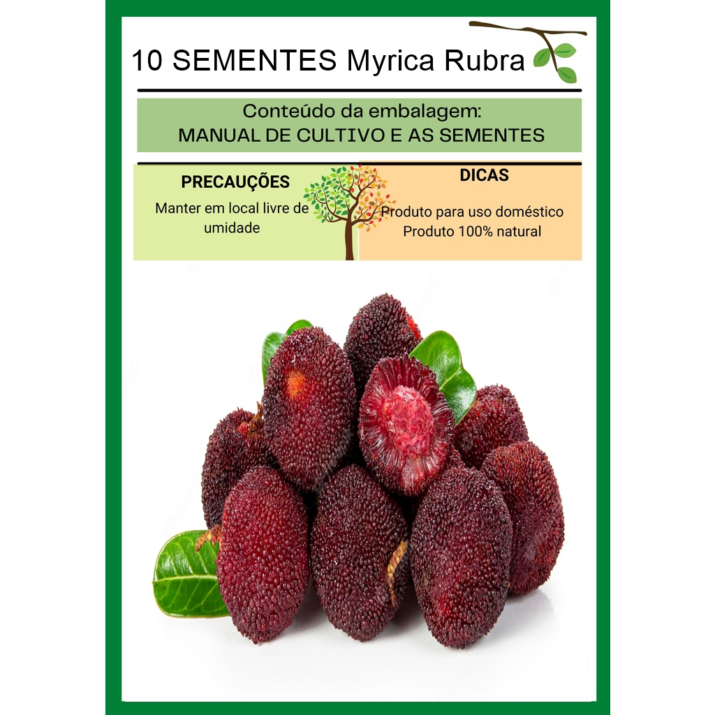 Myrica Rubra Fruta Yamamomo Morango Chines 10 Sementes | Shopee Brasil