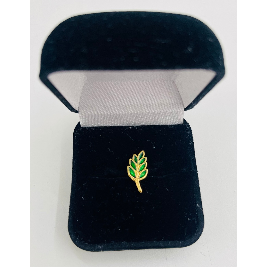 Botom Pin Maçom Maçonaria Ramo Acacia - Escorrega o Preço