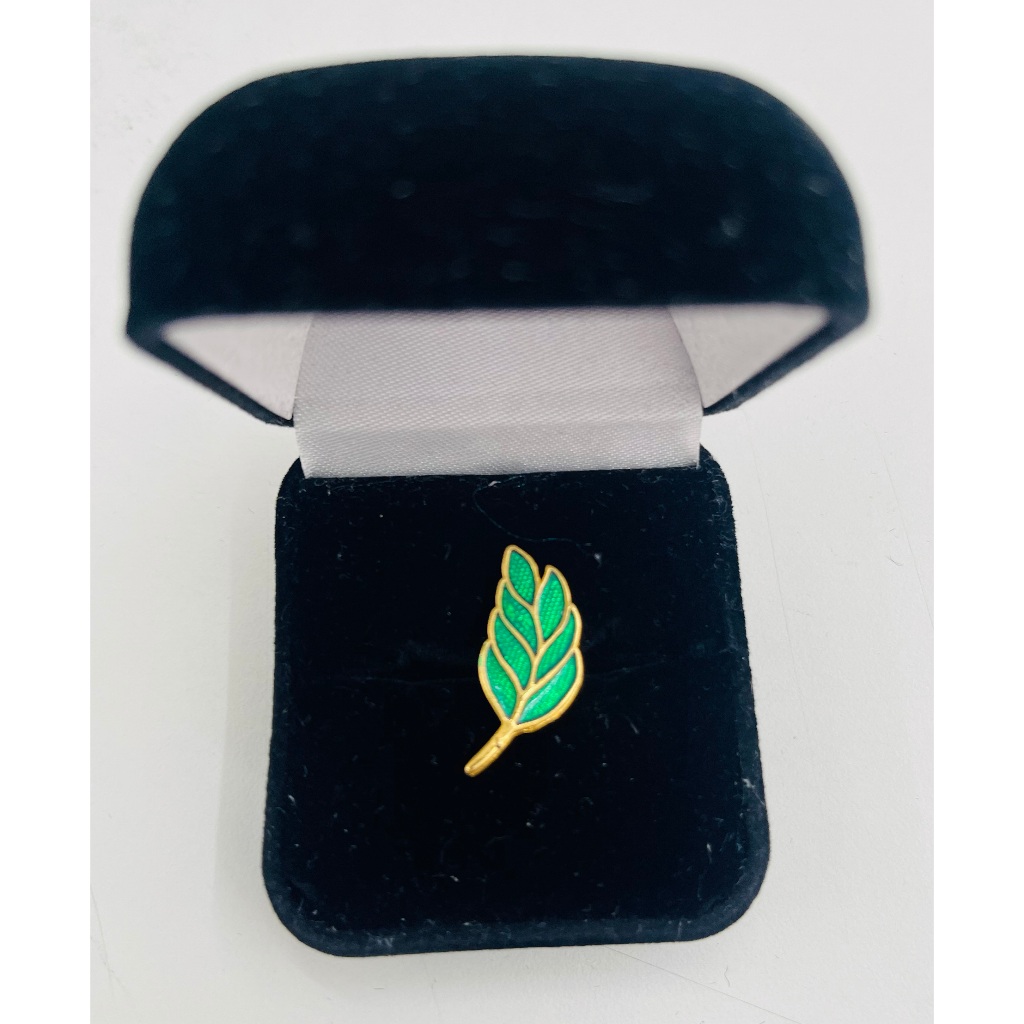 BOTOM PIN MAÇOM MAÇONARIA RAMO ACÁCIA MEDIO | Shopee Brasil