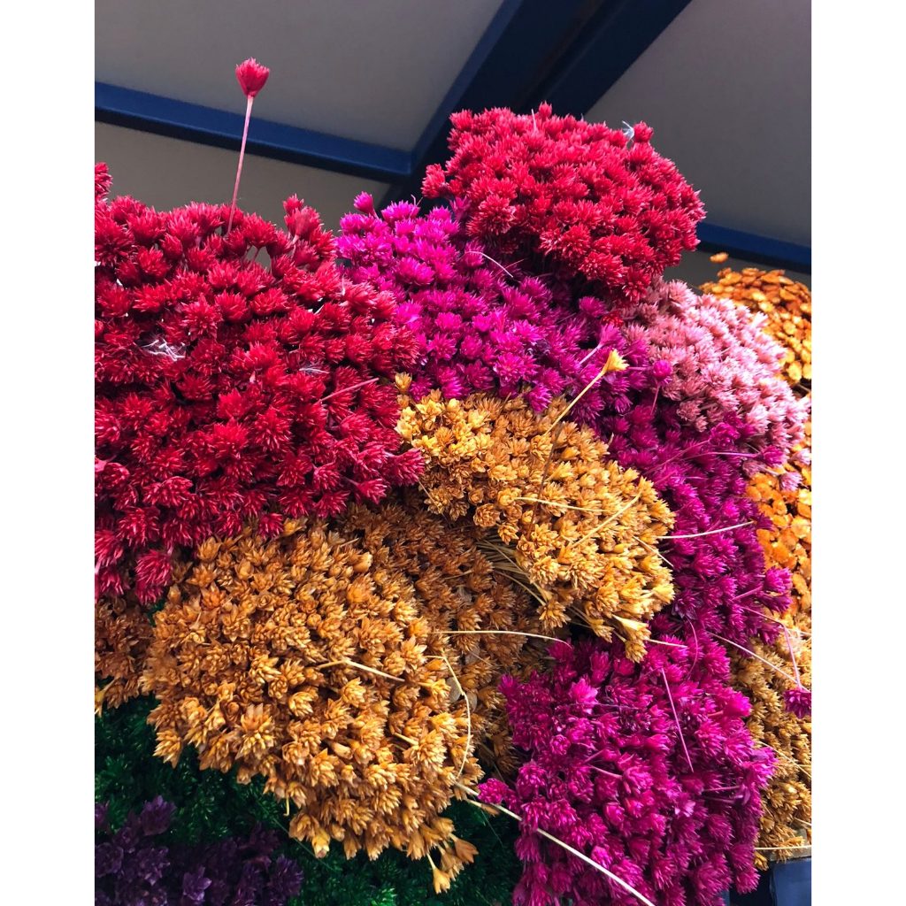 Flor Espeta Nariz Laranja, Flores Secas, Flor Desidratada Arranjos ...