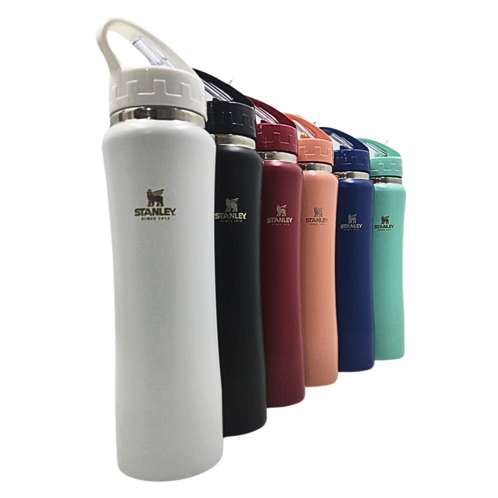 Nova Garrafa Térmica Tipo Stanley 600ML com Bico Canudo e Chaveiro de ...