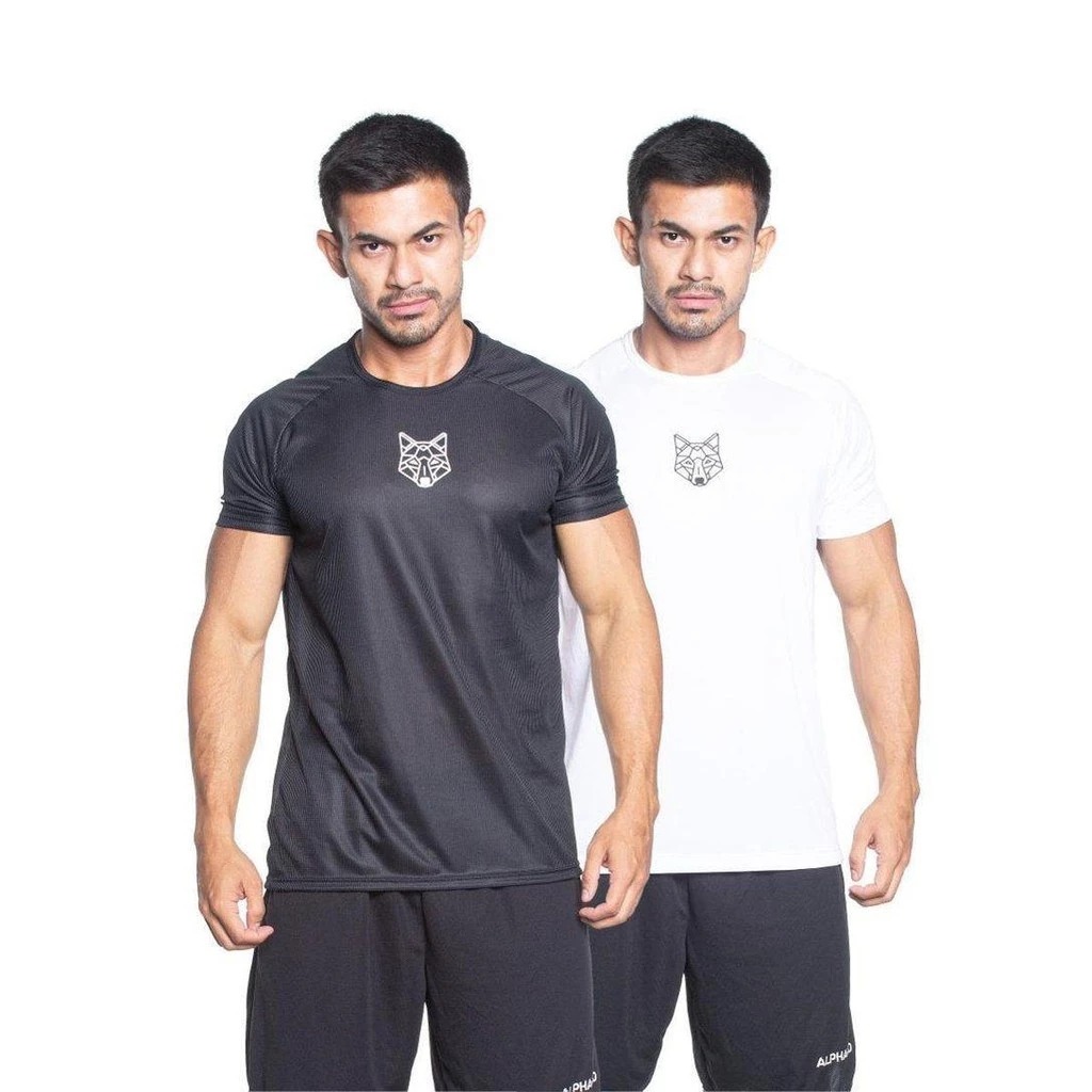 Camiseta masculina dri fit alpha co lobo academia kit com 2 | Shopee Brasil