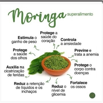 CHÁ DE MORINGA EM PÓ (Moringa Oleifera)100G | Shopee Brasil