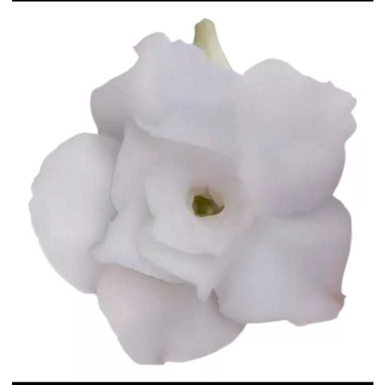 Rd flor branca dobrada 15 a 20 centímetros | Shopee Brasil