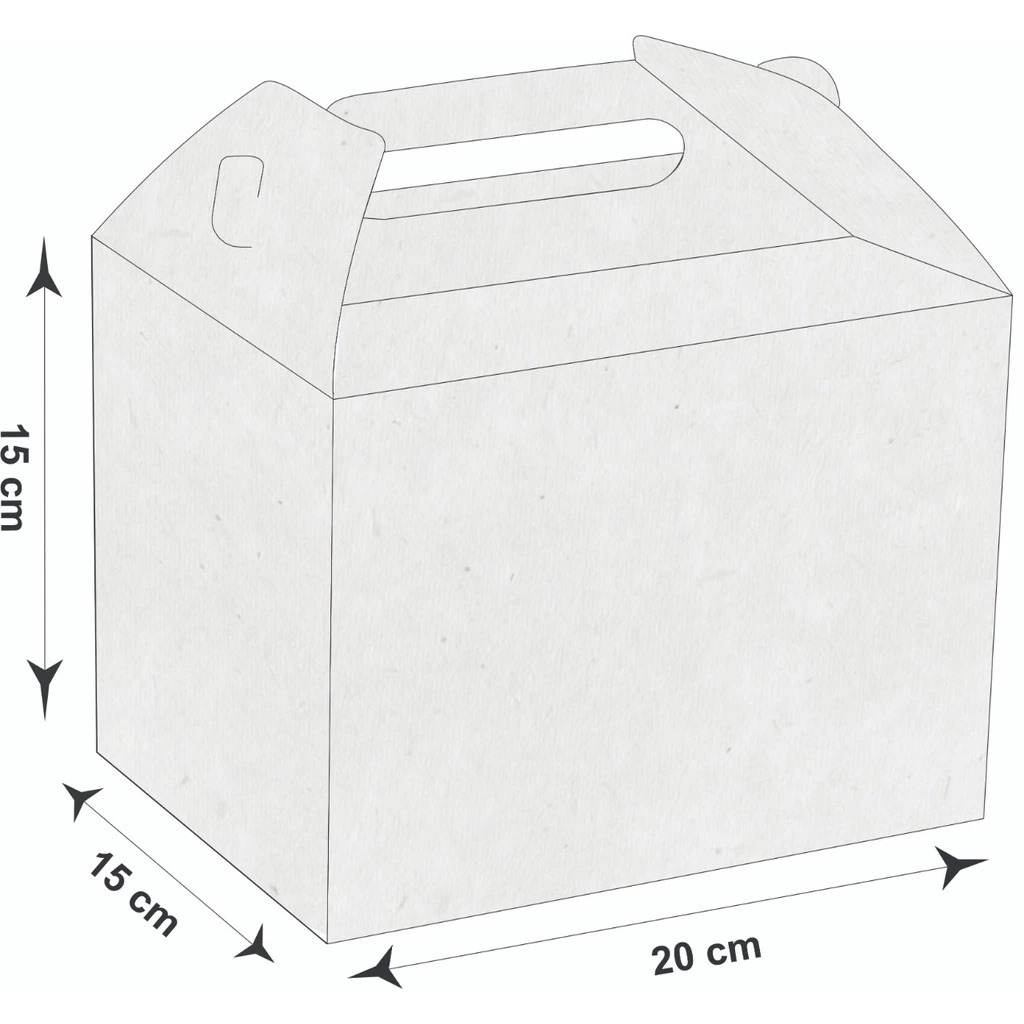 Caixa Embalagem Maleta 30 Un (20x15x15 cm) - Branca / GG | Shopee Brasil