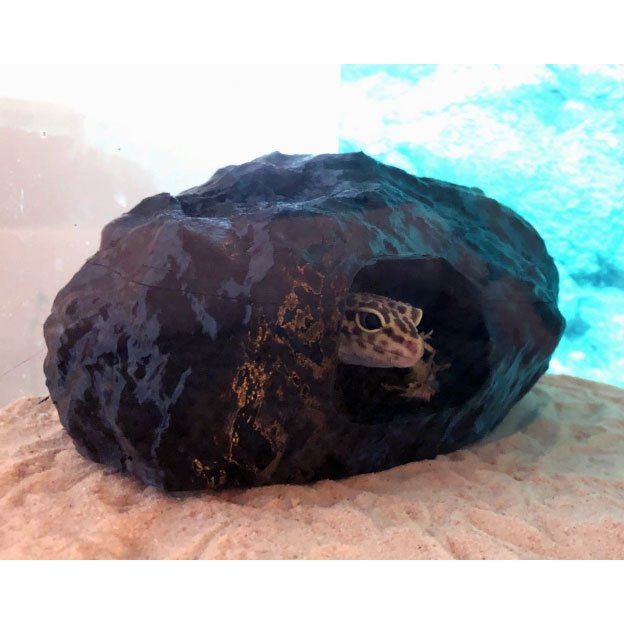 Toca réptil gecko lagarto cobra snake corn animal terrário | Shopee Brasil