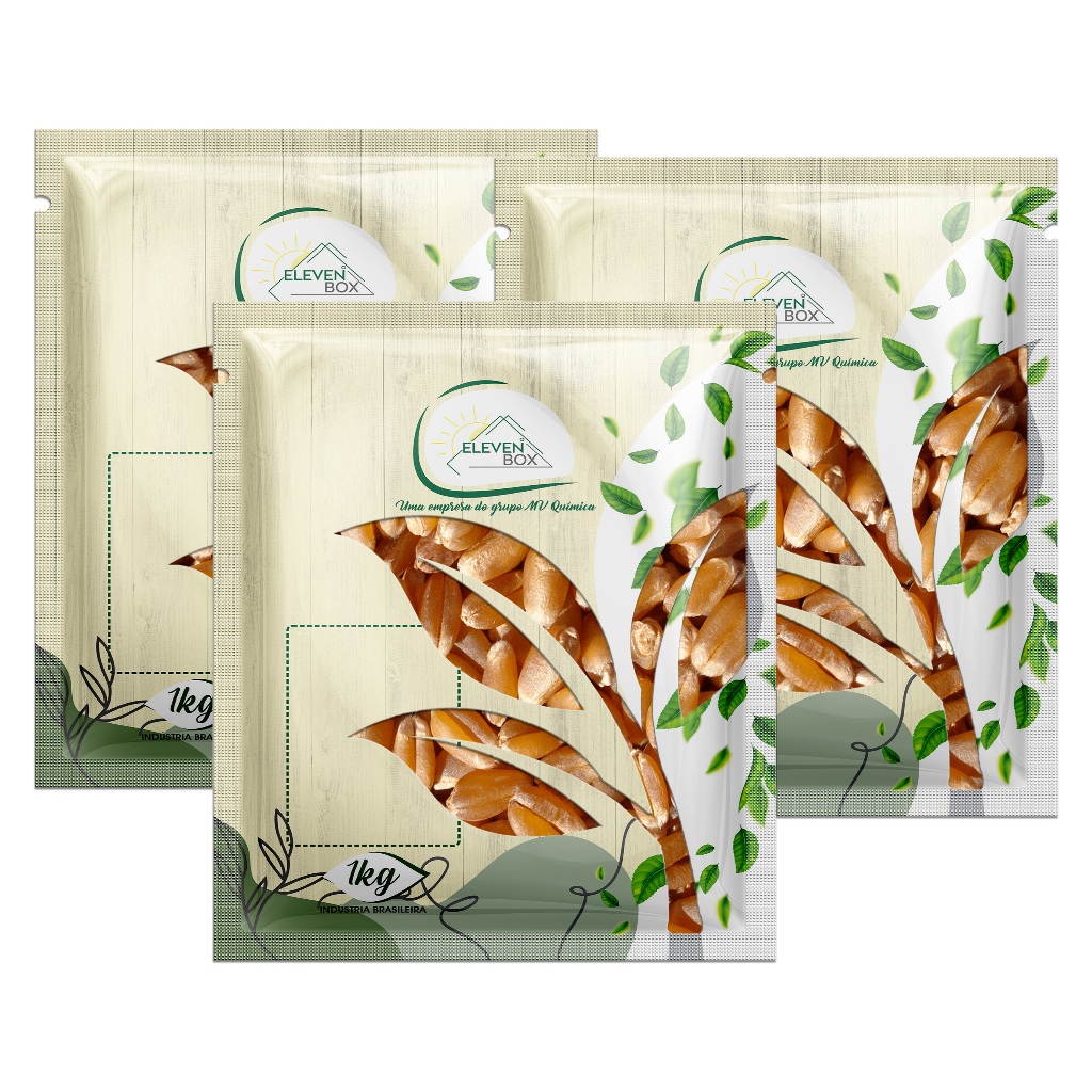 Kit 3kg Trigo Em Grãos | Consumo Humano | Eleven Box | Shopee Brasil