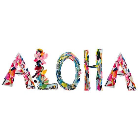 Painel de Festa em Tecido Personalizado - Tema Aloha Sublimado Tecido ...