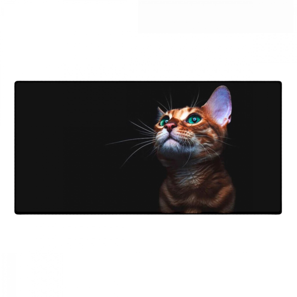 Mouse Pad Gamer Extra Grande 70x35cm Gato Exbom MP-7035C / 50 | Shopee ...