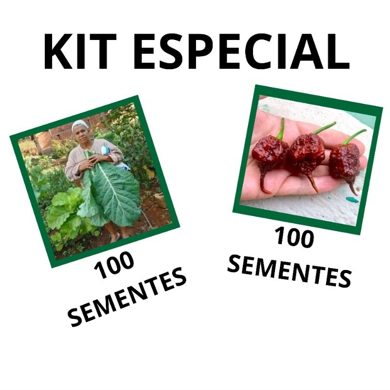 kit especial 100 sementes de couve, 100 sementes de pimenta carolina ...